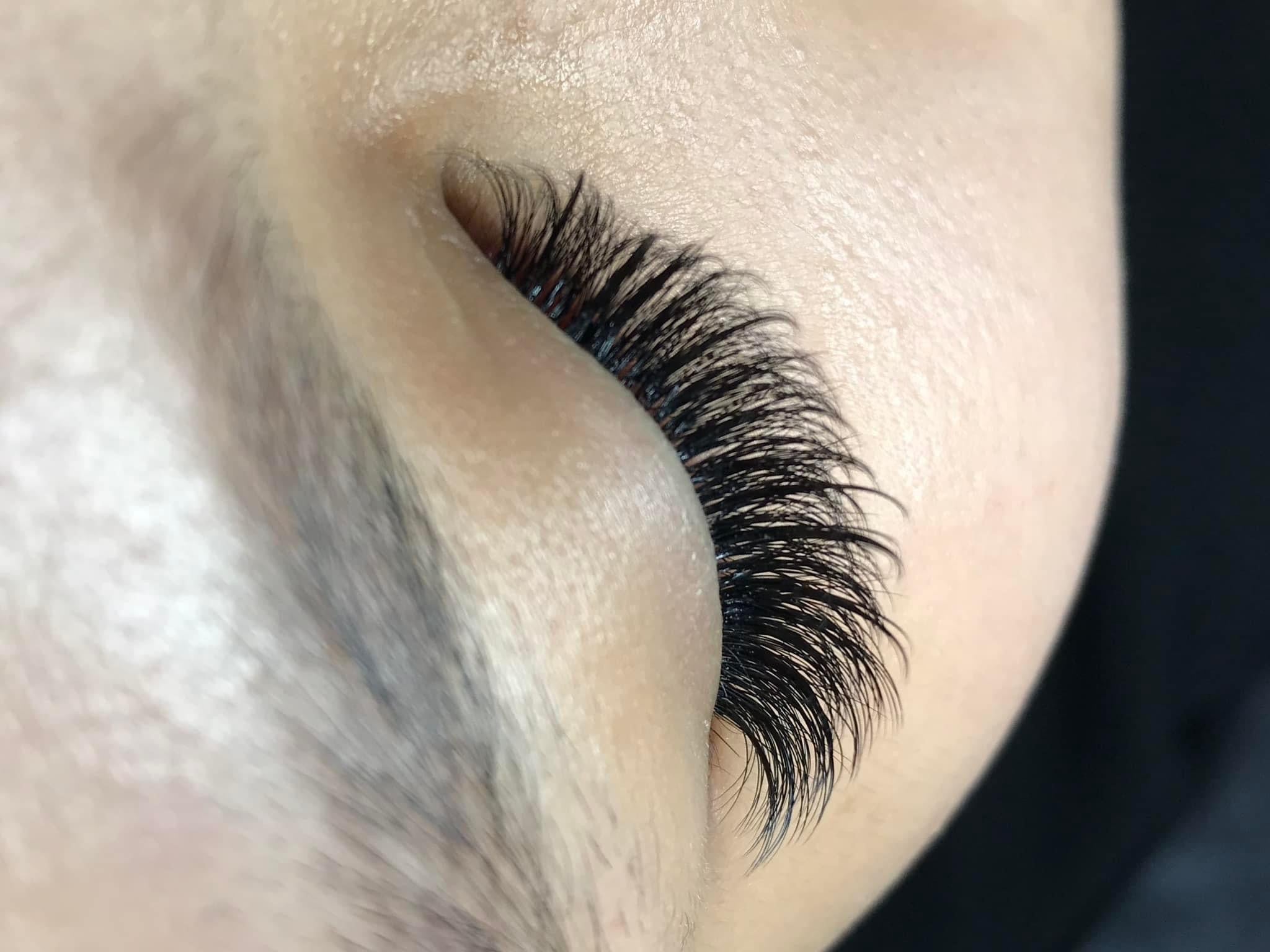 Pinneacle Lash- Premade Volume Fans For Professional Eyelash Extension